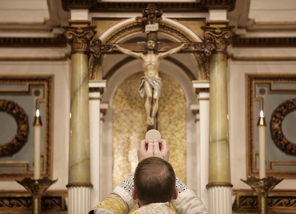 National Survey Results: What We Learned About Latin Mass Attendees ...